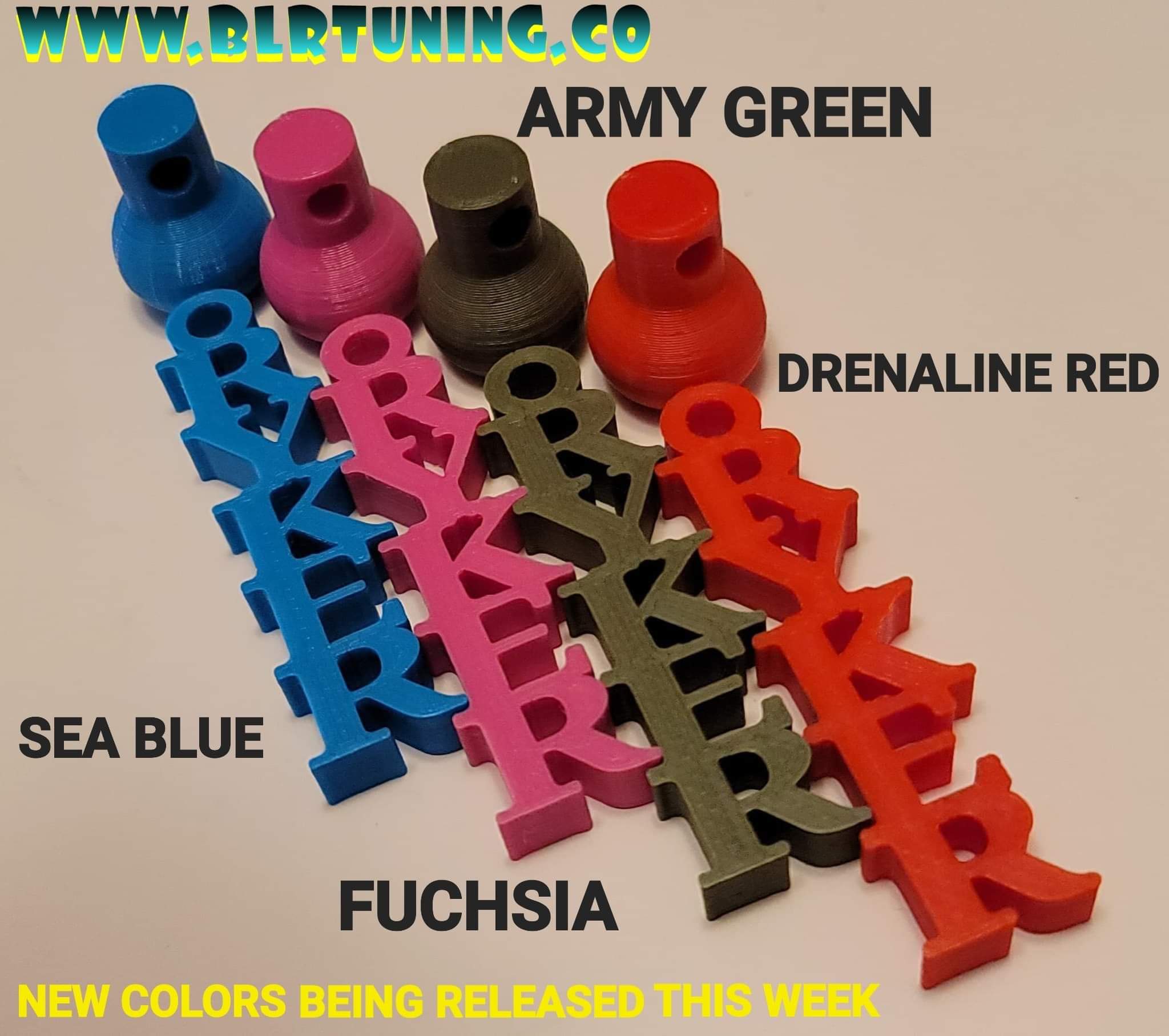 CAN-AM RYKER Key Tag & Key Fob Holder Combo – BLR TUNING